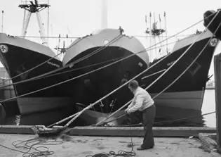 Saga Eimskips - Eimskip